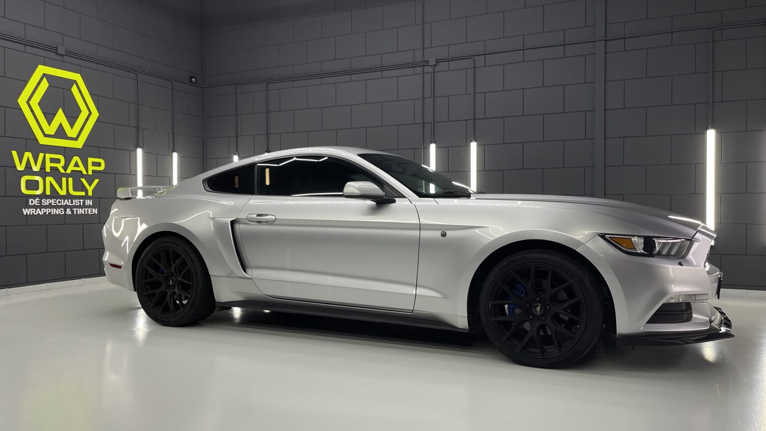 Wrap Only | Bel ons voor afspraak ☎ +31(0)6-51701547